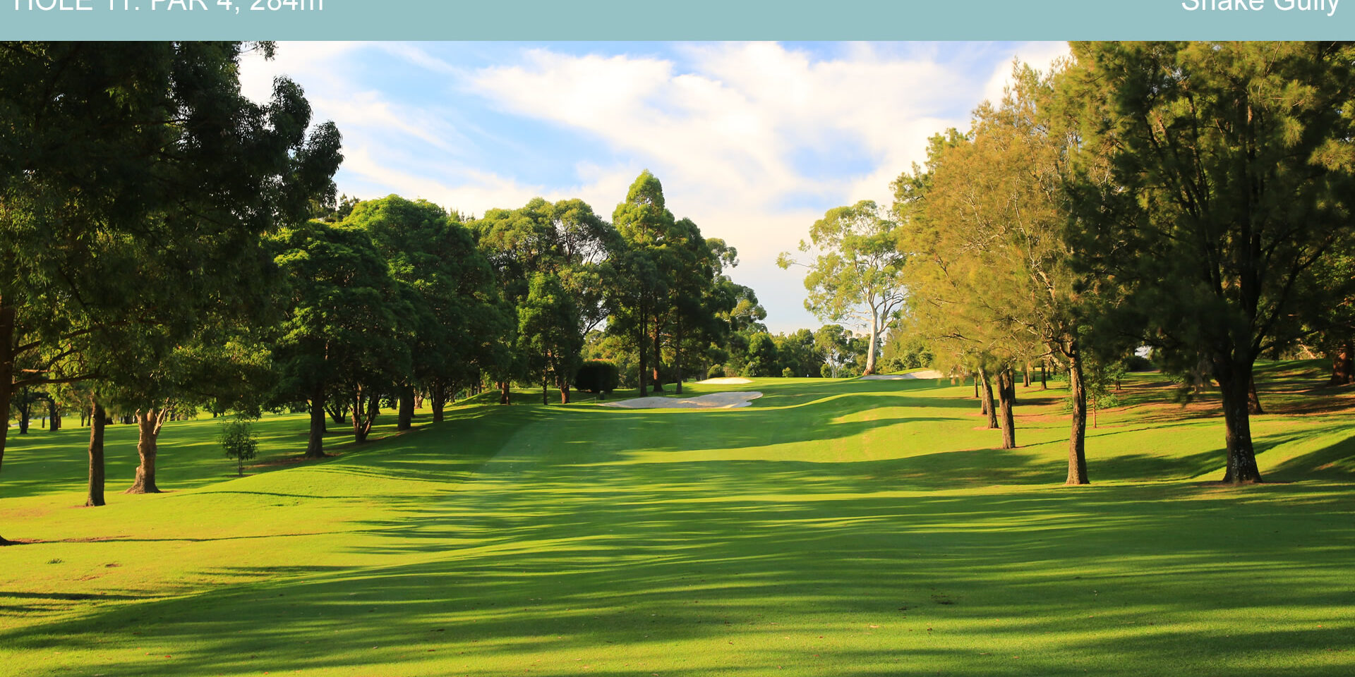North Ryde Golf Club - Golf Course Profile | TeetimeWizard